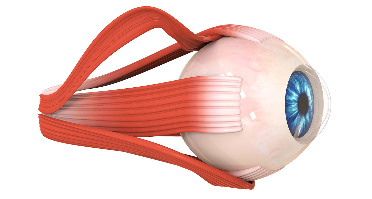 Clínica de Oftalmología Especializada Vision Life